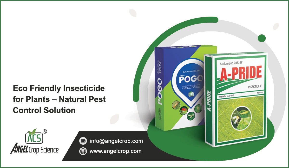 Eco Friendly Insecticide For Plants – Natural Pest Control Solution